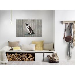 A.S. Cr&eacute;ation Leinwandbild A.S. CR&Eacute;ATION, B:90cm H:60cm, wei&szlig;, Holz, Stahl, Wohnzimmer, Bilder, "born to be wild 4", Keilrahmen Holzoptik Pinguin Tiere