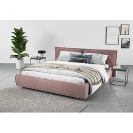 Polsterbett Home Affaire, B:222cm H:91cm L:250cm, rosa, 95% Polyester;5% Nylon, Betten, "Adrina mit Biesenoptik, Feincord und Luxus-Microfaser", bis
