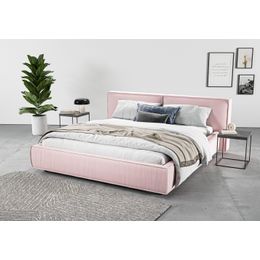 Polsterbett Home Affaire, B:242cm H:91cm L:230cm, rosa, 100% Polyester, Betten, "Adrina mit Biesenoptik, Feincord und Luxus-Microfaser", bis 280kg,