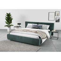 Polsterbett Home Affaire, B:222cm H:91cm L:250cm, gr&uuml;n, 95% Polyester;5% Nylon, Betten, "Adrina mit Biesenoptik, Feincord und Luxus-Microfaser", bis