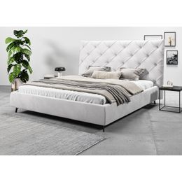 Polsterbett Home Affaire, B:236cm H:105cm L:254cm, grau, 94% Polyester, 6% Nylon, Betten, "Maxime, in 4 Breiten bis 200cm, auch in Leder",
