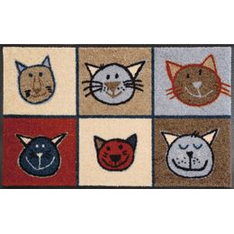 Fu&szlig;matte, B:50cm H:7mm L:75cm, bunt, wash+dry by Kleen-Tex, Kunstfaser, Au&szlig;enbereich, Teppiche, "Miau Miau", Schmutzfangmatte, Motiv Katzen,