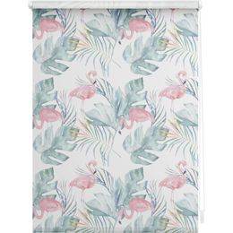 Seitenzugrollo, B:70cm H:150cm, rosa, LICHTBLICK ORIGINAL, Polyester, Rollos, "Rollo Klemmfix, ohne Bohren, blickdicht, Flamingo - Rosa Gr&uuml;n"