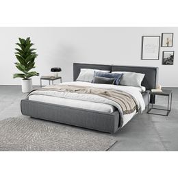 Polsterbett Home Affaire, B:202cm H:91cm L:230cm, grau, 100% Polyester, Betten, "Adrina mit Biesenoptik, Feincord und Luxus-Microfaser", bis 280kg,