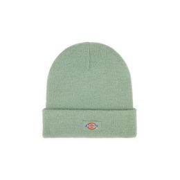 Dickies Beanie 'Gigsland' male Green size One Size
