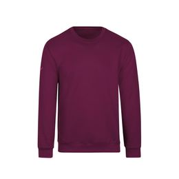 TRIGEMA Damen Sweatshirt "TRIGEMA Sweatshirt", rot, Basic, Gr. XL, 70% Baumwolle, 30% Polyester, Sweatshirts