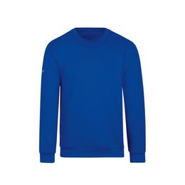 TRIGEMA Herren Sweatshirt "TRIGEMA Sweatshirt", blau, Basic, Gr. XL, 70% Baumwolle, 30% Polyester, Sweatshirts