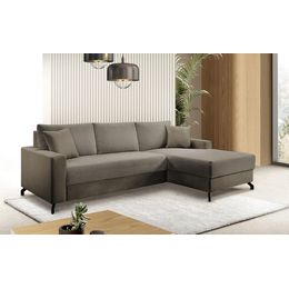 Ecksofa exxpo - SOFA FASHION "Quattro schlicht & zeitlos, bequem, L-Form, B/T: 247/162 cm", braun (latte), B:247cm H:85cm T:162cm, Sofas, Ecksofa, wahlweise mit Bettfunktion, Bettkasten