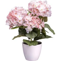 Kunstblume Creativ green "Hortensienbusch", rosa, H:32cm, Obermaterial: 85% Polyester, 15% Polyethylen, Kunstpflanzen