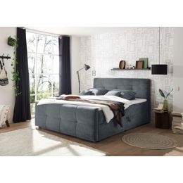 Boxbett ED EXCITING DESIGN "Winnipeg", grau (grau uran 04 anthrazit), B:180cm L:226cm, 95% Polyester, 5% Nylon, Komplettbetten, Boxspringbett, inkl. zwei Bettk&auml;sten und Topper