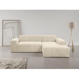 Ecksofa OTTO HOME "Zeus-L modern & zeitlos, Breite 253 cm, bequemes Sofa", beige (natur), B:253cm H:70cm T:188cm, 90% Polyester, 10% Nylon, Sofas, Ecksofa, Curvy Trend Ecksofa mit urbaner Optik