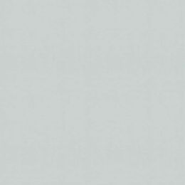 Vliestapete SUPERFRESCO EASY, grau, B:0,52m L:10m, Vlies, Tapeten, Uni - Grau - 10m x 52cm