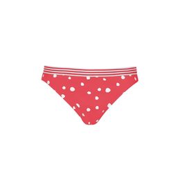 Vivid Bikini Bottoms female Red size 46