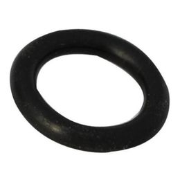 Truma O-Ring 10 x 2,5 mm f&uuml;r Boiler 3/E-Boiler/C/Combi-Heizung (Nr. 10030-21600)