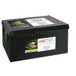 B&uuml;ttner B&uuml;ttner LiFePO4 Lithium Bordbatterie MT Li 300 Ah