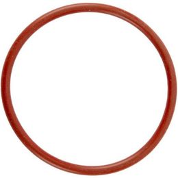 Truma O-Ring 40 x 2,5 mm f&uuml;r C-/E-/Combi-Heizungen (Nr. 34010-05700)
