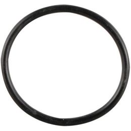 Truma O-Ring 32 x 2,5 mm f&uuml;r Heizstab 230 V f&uuml;r Therme TT 2 (Nr. 10030-15600)