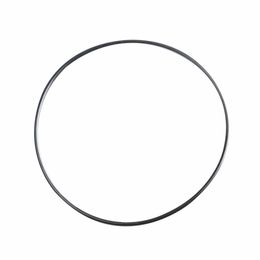 Thetford O-Ring f&uuml;r Toilettenpapierfach f. C2/C3 (Nr- 16731)