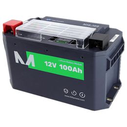 TBB Power Lithium Batterie LiFePO4 M12-100/P mit Heizung - 105 Ah