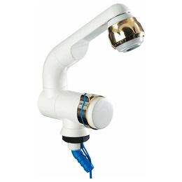 Barwig Kaltwasserhahn Compact wei&szlig;/gold