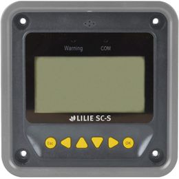 Lilie LCD-Batteriecomputer