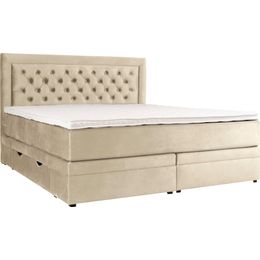 Boxspringbett Home Affaire "Julien", beige (cream), B:161cm L:210cm, 100% Polyester, Komplettbetten, Boxspringbett, mit Taschenfederkernmatratze