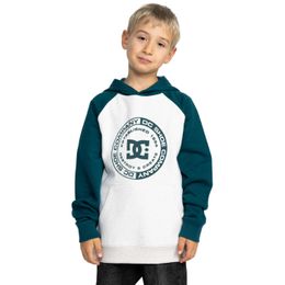 DC Shoes Jungen Hoodie "DC Corpo", weiß, Gr. 16, 55% Baumwolle, 25% Baumwolle, 20% Polyester, Sweatshirts