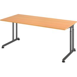 Hammerbacher h&ouml;henverstellbarer Schreibtisch VZS19/6/G buche