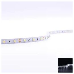 Strip 12V LED Streifen 5M 4,8W/m 60LED/m 8mm - Lichtfarbe: Kaltweiß 6000K - Schu...