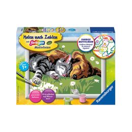 Ravensburger Malen nach Zahlen-Set "Tiefer Schlaf" - ab 7 Jahren - 10% | Kinder-kreativspielzeug