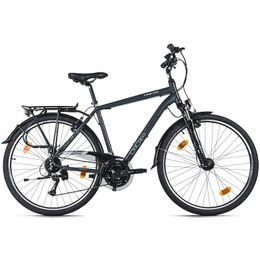 Dacapo Trekkingrad &raquo;Firenze 200 Anthrazit 24 G&auml;nge RH 53 cm&laquo; 24 Gang Shimano Acera Schaltwerk Kettenschaltung Trekkingrad