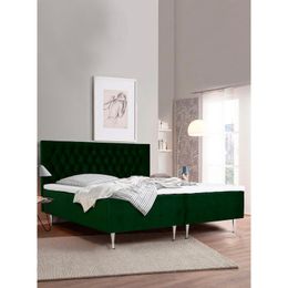 Home Affaire Boxspringbett &raquo;Exclusive&laquo; inkl. Topper, 3 Breiten, 3 H&auml;rtegrad-Ausf&uuml;hrungen gr&uuml;n Samtoptik (100% Polyester)