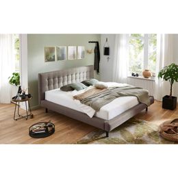 Home Affaire Polsterbett &raquo;Tobj&ouml;rn&laquo; Mit breitem Futon-Rahmen taupe Liegefl&auml;che L&auml;nge Breite: 200 cm x 140 cm