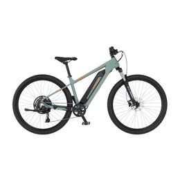 FISCHER BIKE Fischer Fahrrad Unisex FISCHER Fahrrad &raquo;MONTIS 2.2 688&laquo; 10 Gang Shimano Cues RD-U6020-10 Schaltwerk Heckmotor 250 W