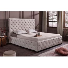 Riess Ambiente Design Boxbett PARIS 160x200cm champagner beige Samt mit Stauraum Chesterfield Riess-Ambiente