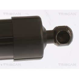TRISCAN Gasfeder, Koffer-/Laderaum f&uuml;r VW 7N0827851E 7N0827851G 8710 29303
