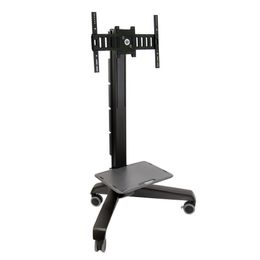 Ergotron Neo-Flex Mobile MediaCenter VHD (24-191-085)