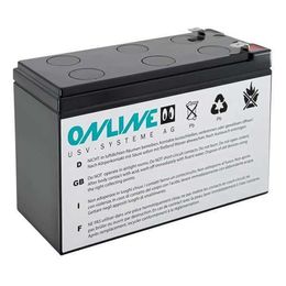 Online USV Systeme BCXSRT6000