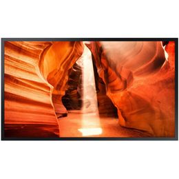 Samsung OM55N-S Smart Signage Schaufenster Display 138,7 cm 54,6 Zoll
