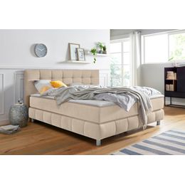 Boxspringbett Home Affaire "Salo XXL", beige, B:214cm L:231cm, Komplettbetten, Boxspringbett, in Samtoptik oder Struktur, 6 Breiten in &Uuml;berl&auml;nge 220cm, 4 H&auml;rtegrade