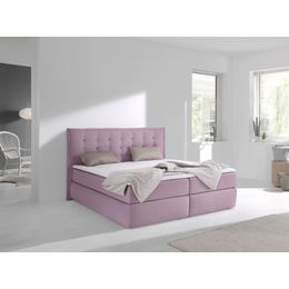 Boxspringbett Home Affaire "Sagres", rosa (ros&eacute;), B:195cm L:210cm, Feinstruktur(100% Polyester);Bezug der Spiegelfl&auml;che Matratzendrell aus 100% Polyester, Komplettbetten, Boxspringbett, Kopfteil mit 2farbiger Flatterbiese und zweifarbigen Kn&ouml;pfen