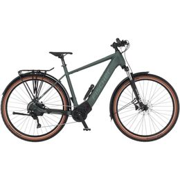 FISCHER BIKE E-Bike FISCHER FAHRRAD "TERRA T100 55 711" Gr. 55, grün, Elektrofahrräder, Damen, 55cm, 28 Zoll (71,12cm), Pedelec, Elektrofahrrad für Damen und Herren