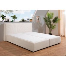 Boxspringbett Home Affaire "&Aring;by", beige (creme, beige), B:187cm L:225cm, Komplettbetten, Boxspringbett, In Cord Bezug, wahlweise mit und ohne Matrazte erh&auml;ltlich