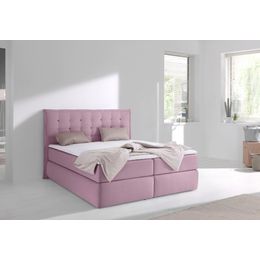 Boxspringbett Home Affaire "Sagres", rosa (ros&eacute;), B:175cm L:210cm, Feinstruktur(100% Polyester);Bezug der Spiegelfl&auml;che Matratzendrell aus 100% Polyester, Komplettbetten, Boxspringbett, Kopfteil mit 2farbiger Flatterbiese und zweifarbigen Kn&ouml;pfen