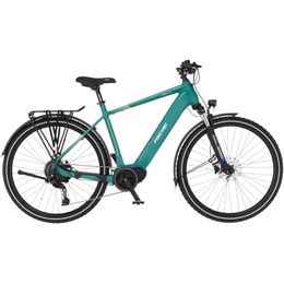 FISCHER BIKE E-Bike FISCHER FAHRRAD "TERRA 4.0i 630 55" Gr. 55, grün, Elektrofahrräder, Damen, 55cm, 29 Zoll (73,66cm), Pedelec, Elektrofahrrad für Damen und Herren