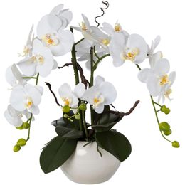 Kunstorchidee Creativ green, H:55cm, wei&szlig;, Kunststoff, Kunstpflanzen, "Phalaenopsis", im Keramiktopf
