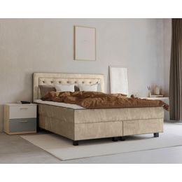 Boxspringbett Home Affaire, B:181cm L:208cm, beige, 100% Polyester, Komplettbetten, "Jeanne", inkl. Topper mit Taschen-Federkernmatratze