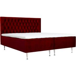 Boxspringbett Home Affaire, B:181cm L:208cm, rot, Samtoptik (100% Polyester), Komplettbetten, "Exclusive", inkl. Topper, 3 Breiten, 3