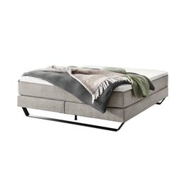 Boxspringbett Hasena JULIETA