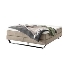 Boxspringbett Hasena JULIETA